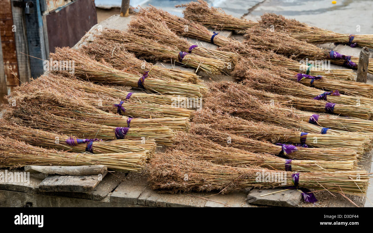 Indian Grass reed brushes on the back of a bullock cart in a rural ...