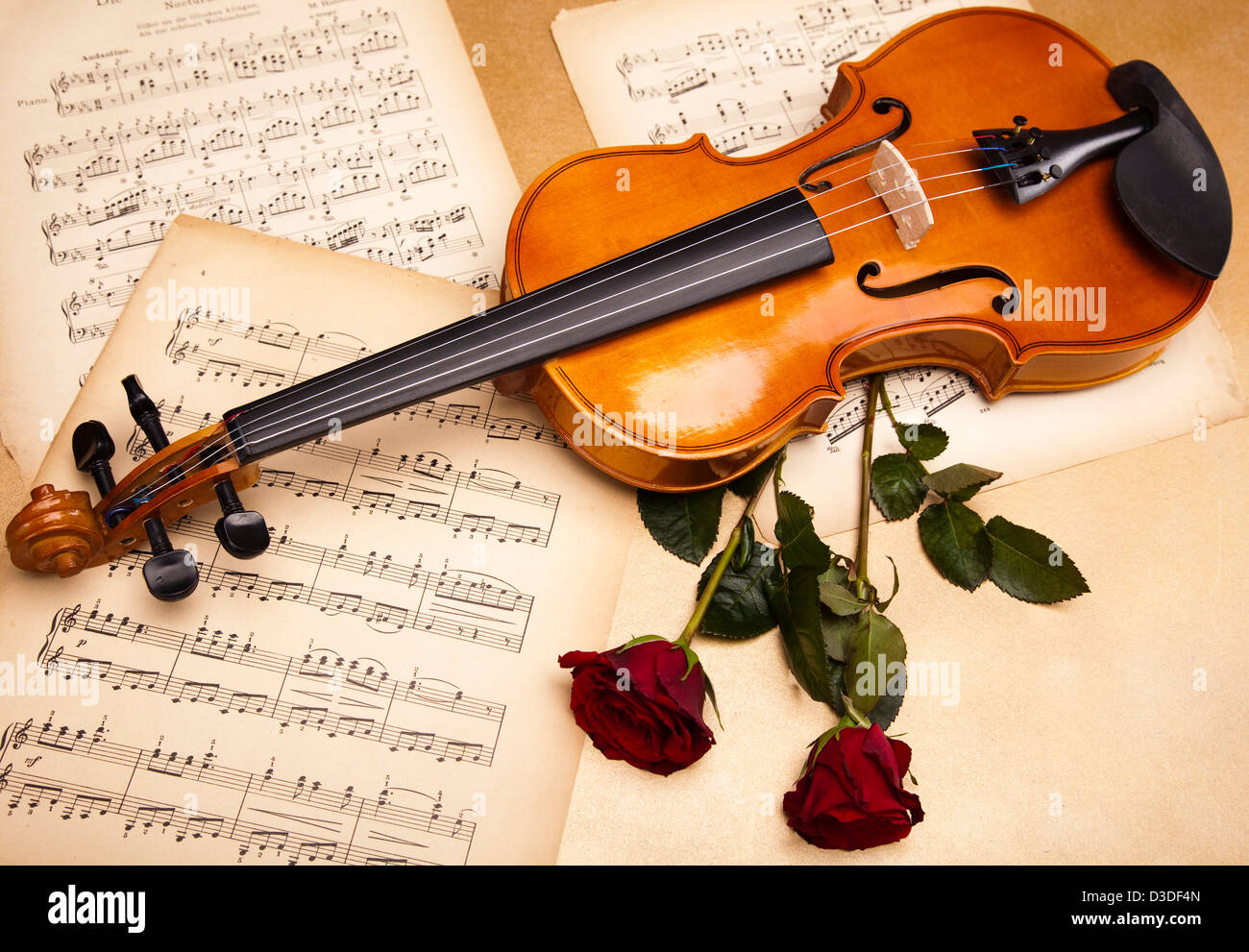 Red roses violin hi-res stock photography and images - Alamy