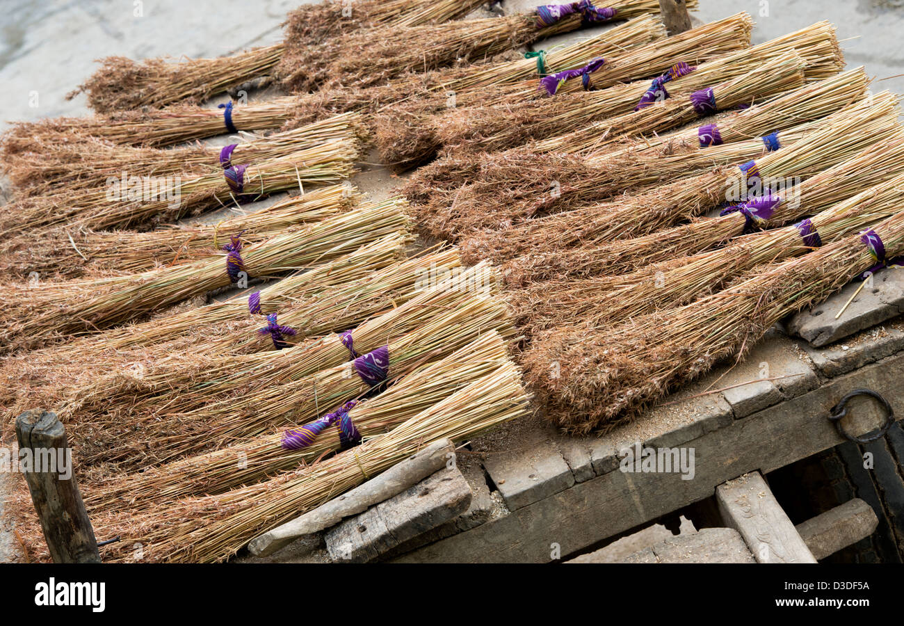 Indian grass hi-res stock photography and images - Alamy