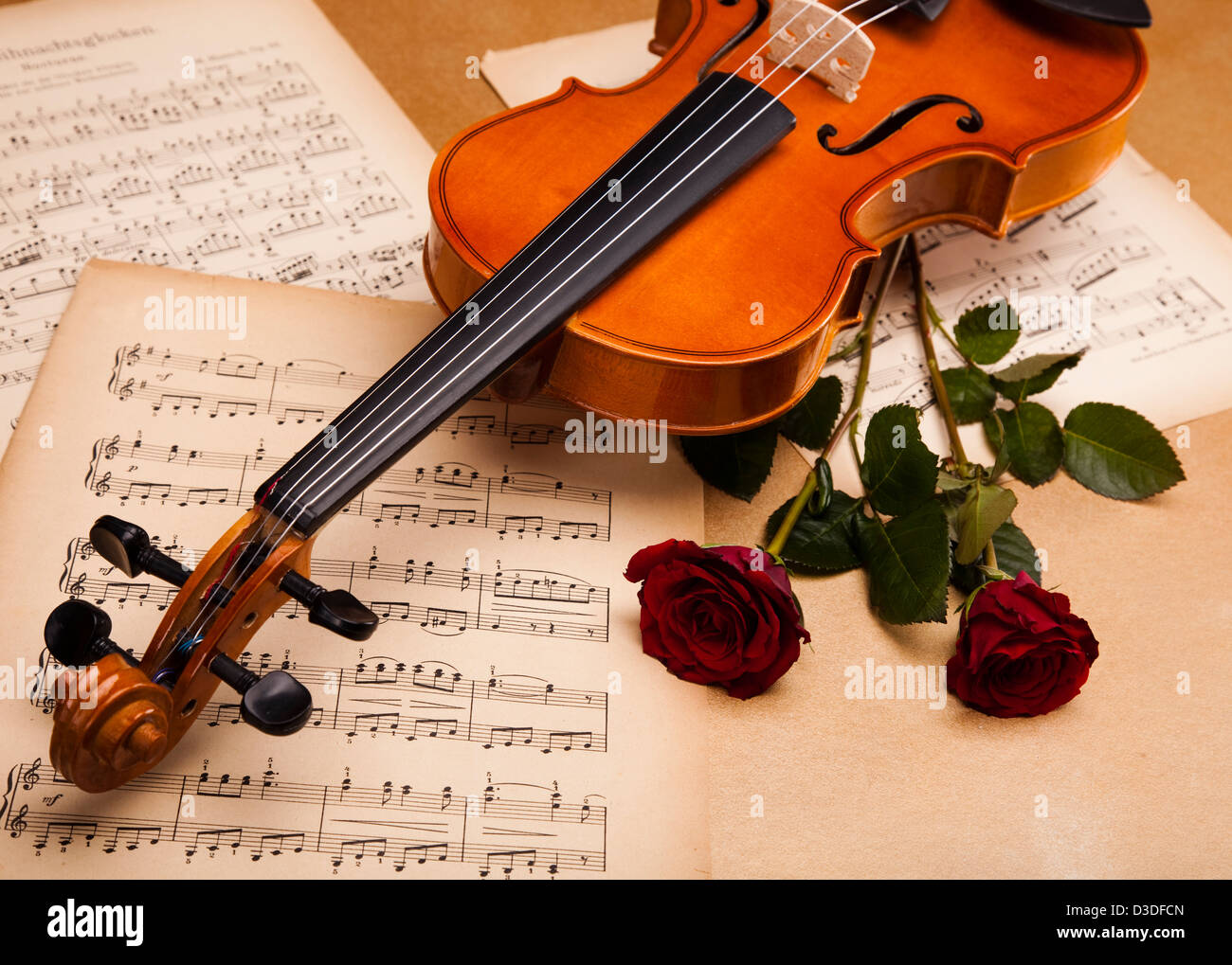 Red roses, violin Stock Photo - Alamy