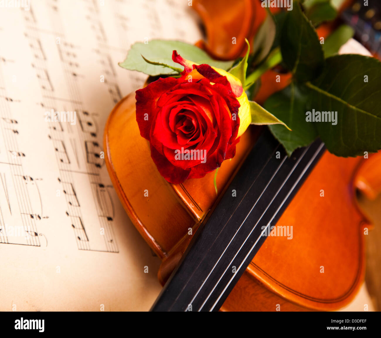 Red roses, violin Stock Photo - Alamy
