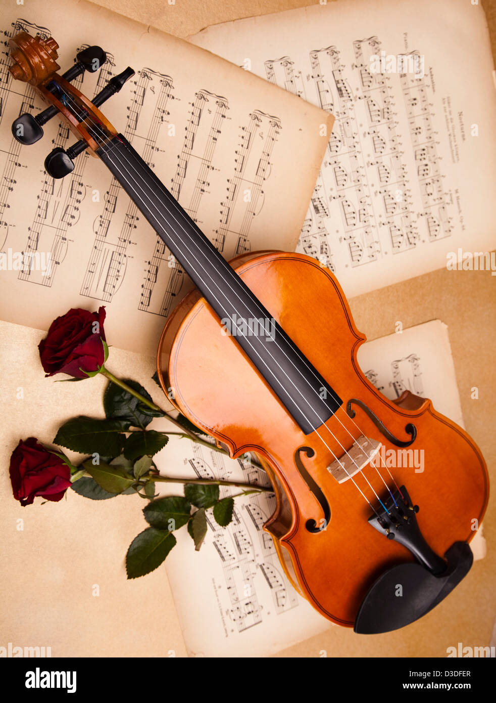 Red roses, violin Stock Photo - Alamy
