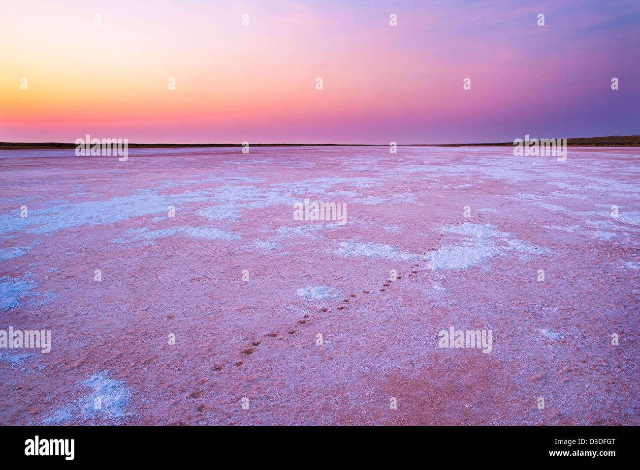 The simpson desert australia hi-res stock photography and images - Alamy
