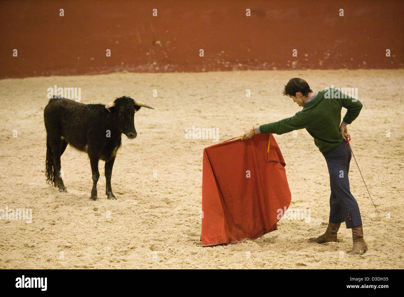 Bull fighting hi-res stock photography and images - Alamy