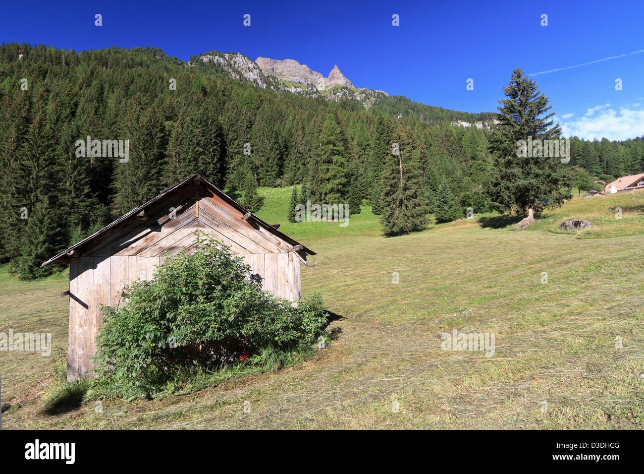 summer landscape in Fassa valley with a small barn, Italian Dolomites ...