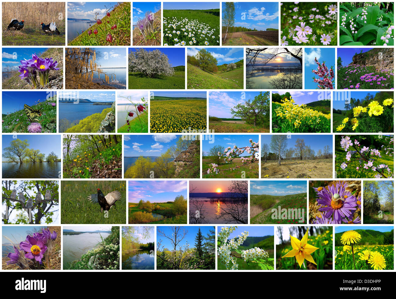Spring time in Russia collage from natural landscape shots Stock Photo ...