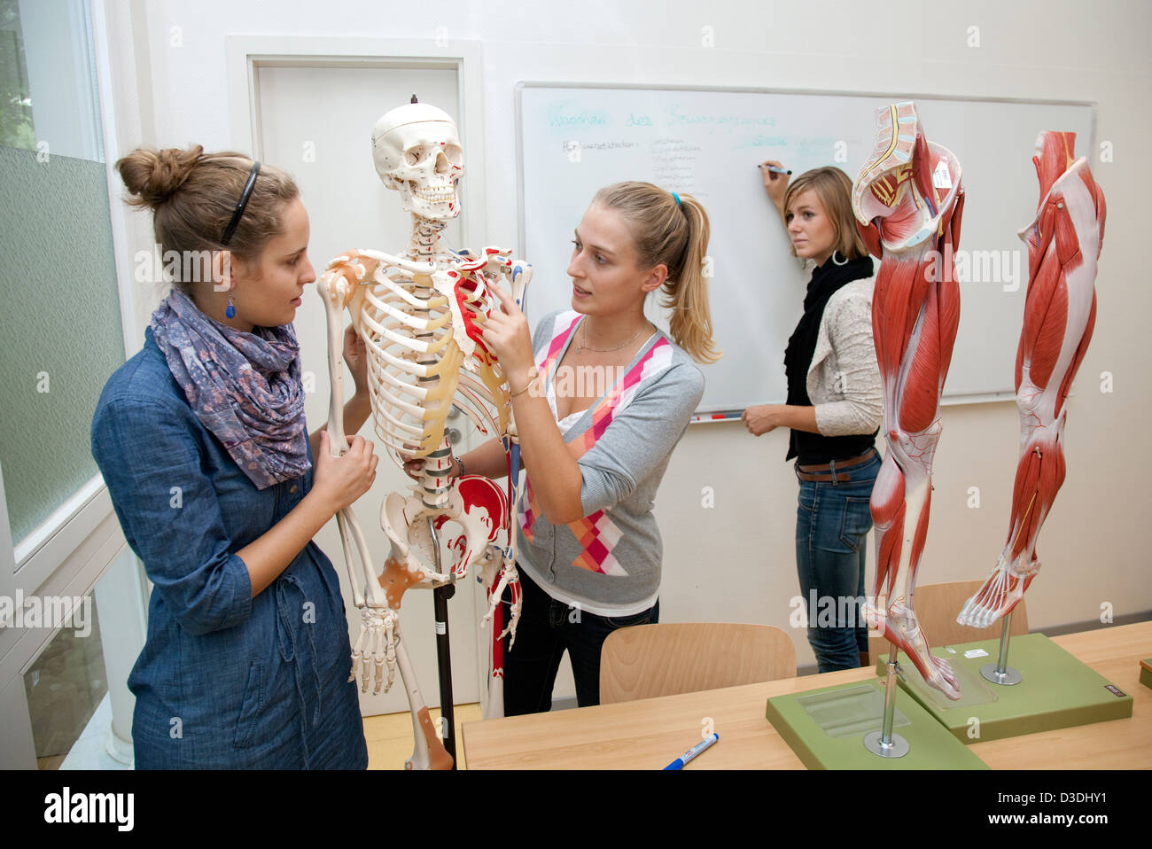 Witten, Germany, medical students at the University of Witten-Herdecke ...