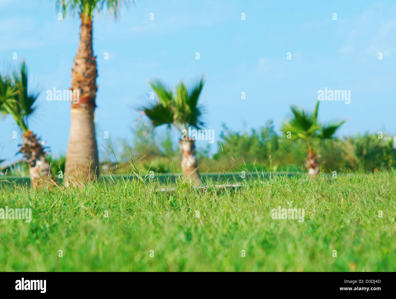 Tropical garden scene hi-res stock photography and images - Alamy