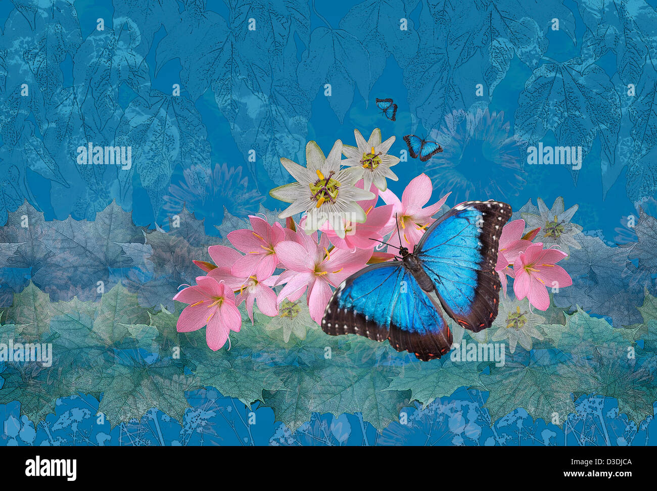 Morpho Magic - Photoart of Blue Morpho Butterfly on Flowers Stock Photo ...