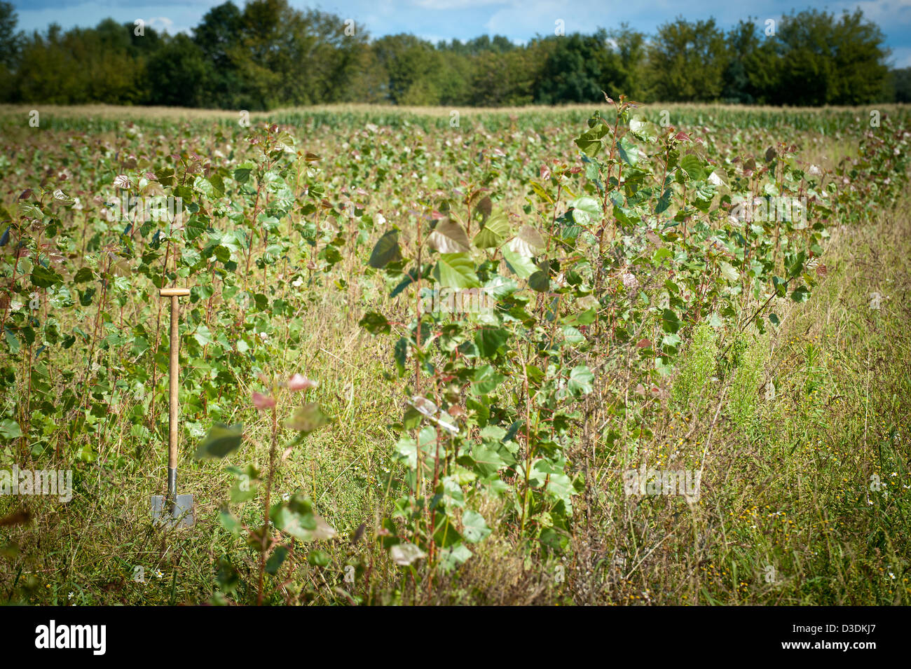 Short rotation hi-res stock photography and images - Alamy