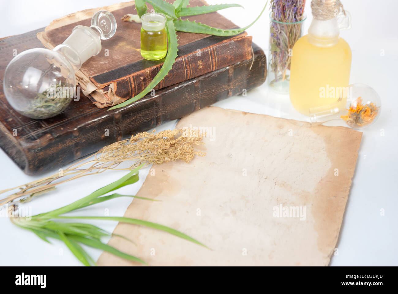 aloaloea leaves with herbs and pots Stock Photo - Alamy