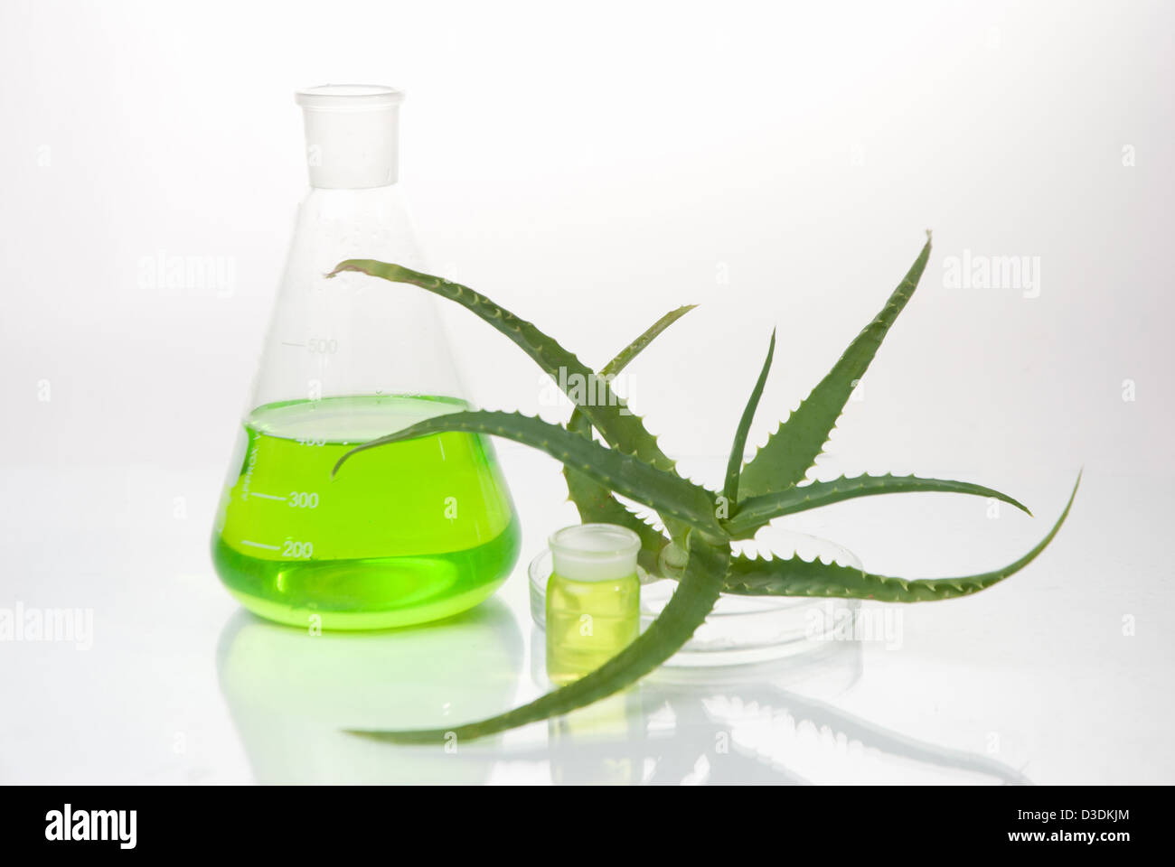 aloe vera plant with tubes - herbal medicine Stock Photo - Alamy