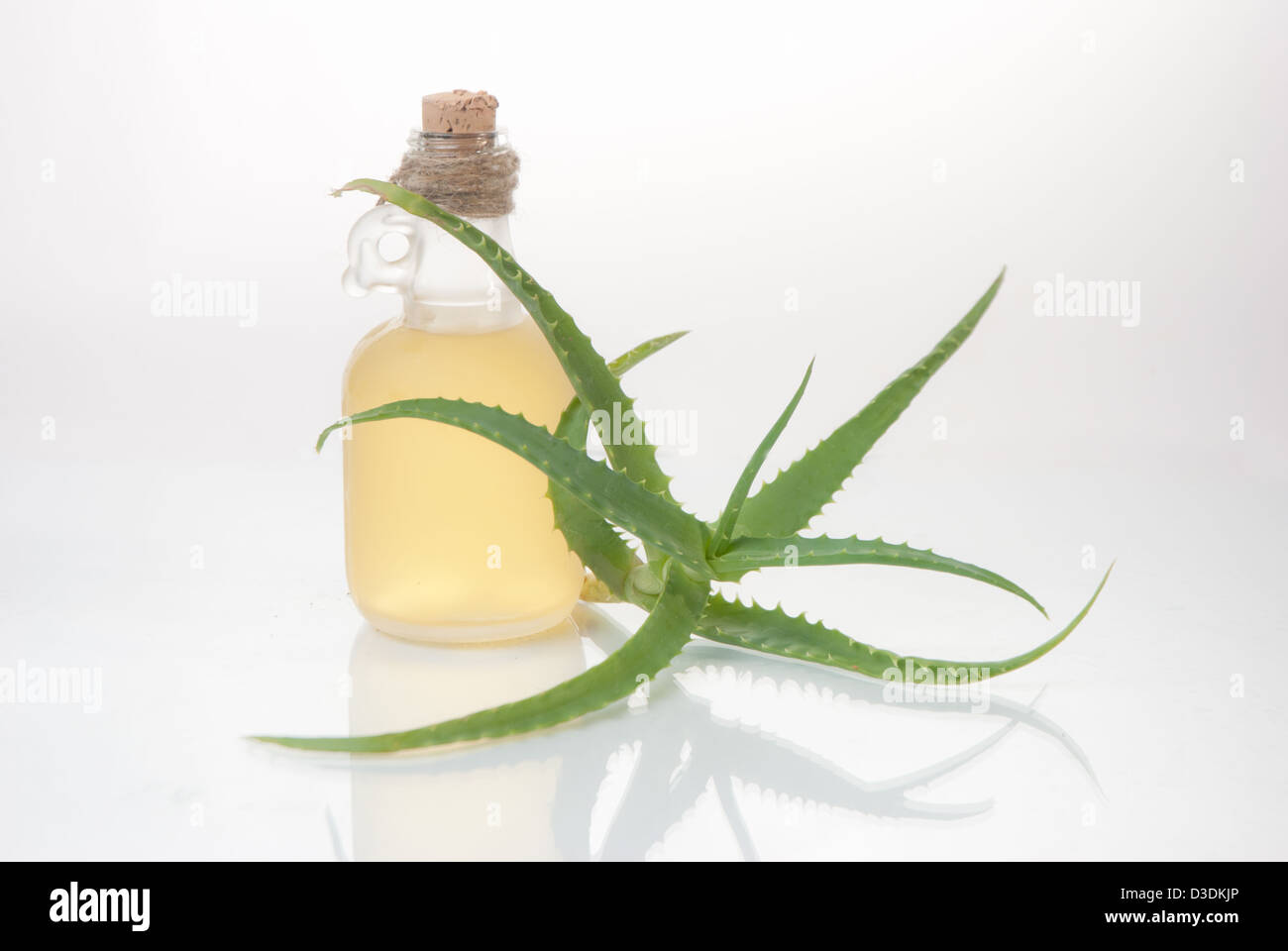 aloe vera plant with tubes - herbal medicine Stock Photo - Alamy