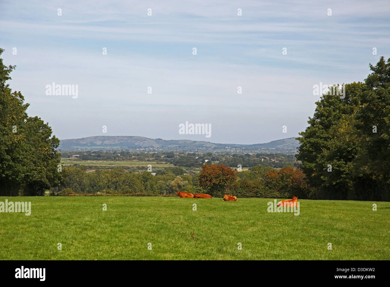 Polden Hills Somerset Stock Photos & Polden Hills Somerset Stock Images ...