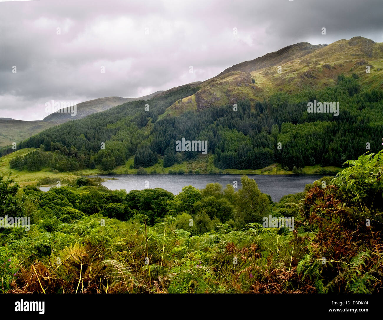 Loch trool hi-res stock photography and images - Alamy