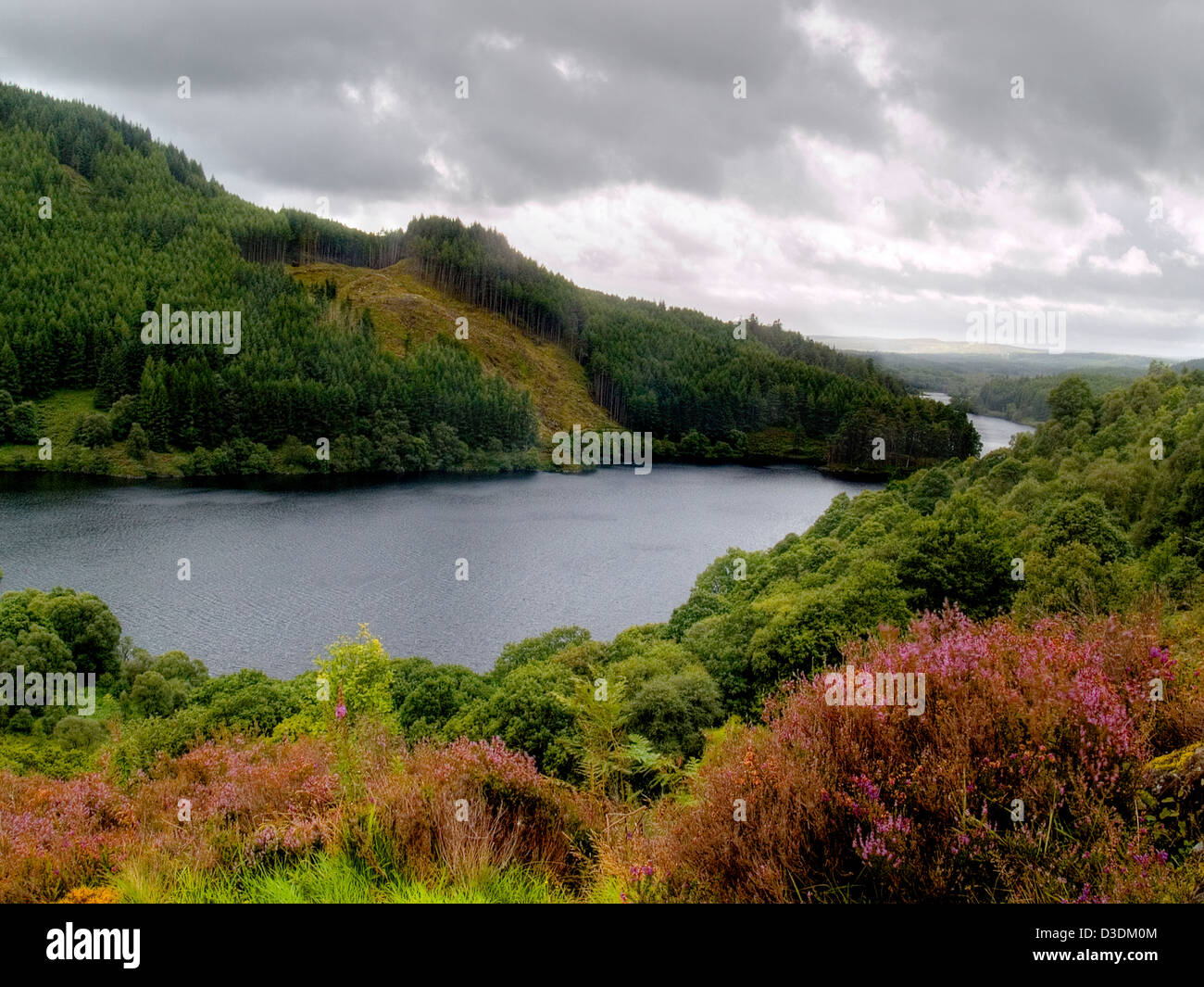 Loch trool scotland hi-res stock photography and images - Alamy