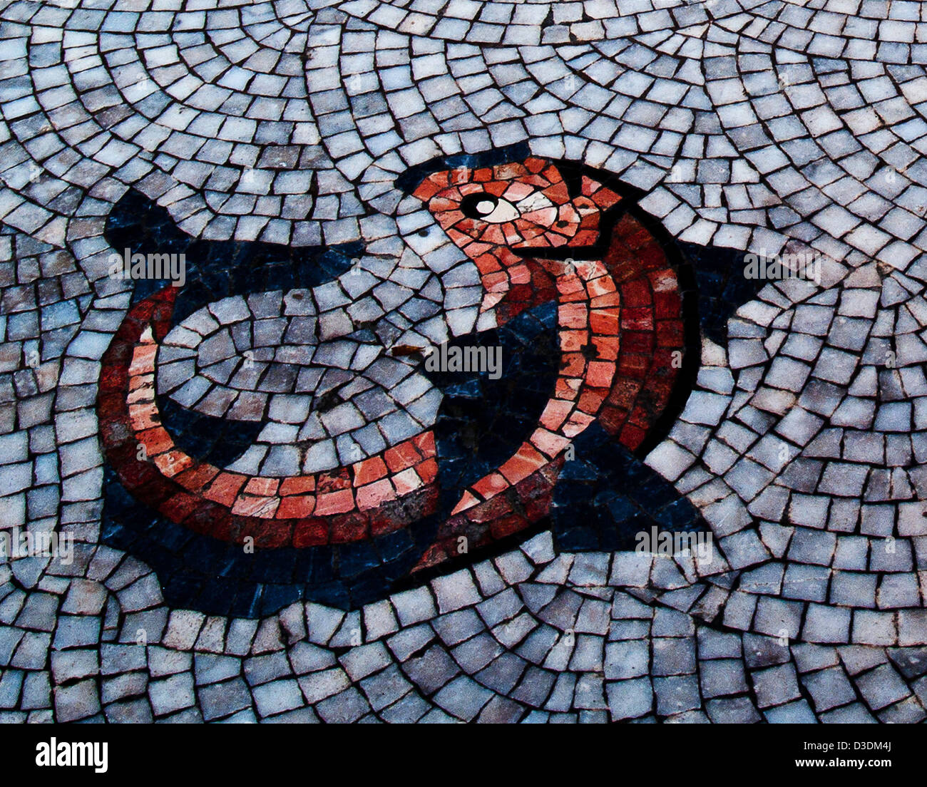 Fish detail in mosaic tiled floor Stock Photo - Alamy
