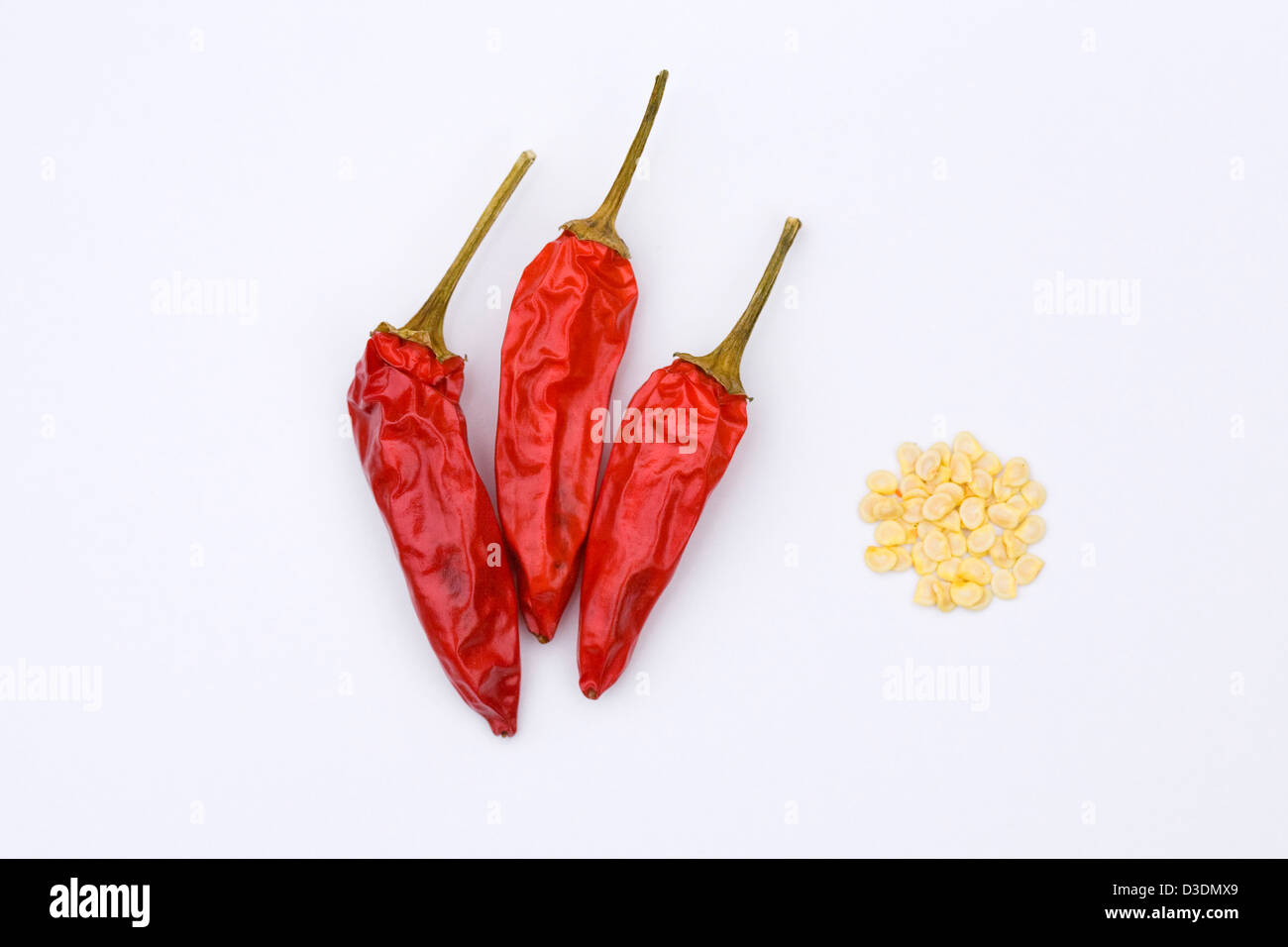 Capsicum annum 'Superchili'. Three dried chillies and seeds on a white ...