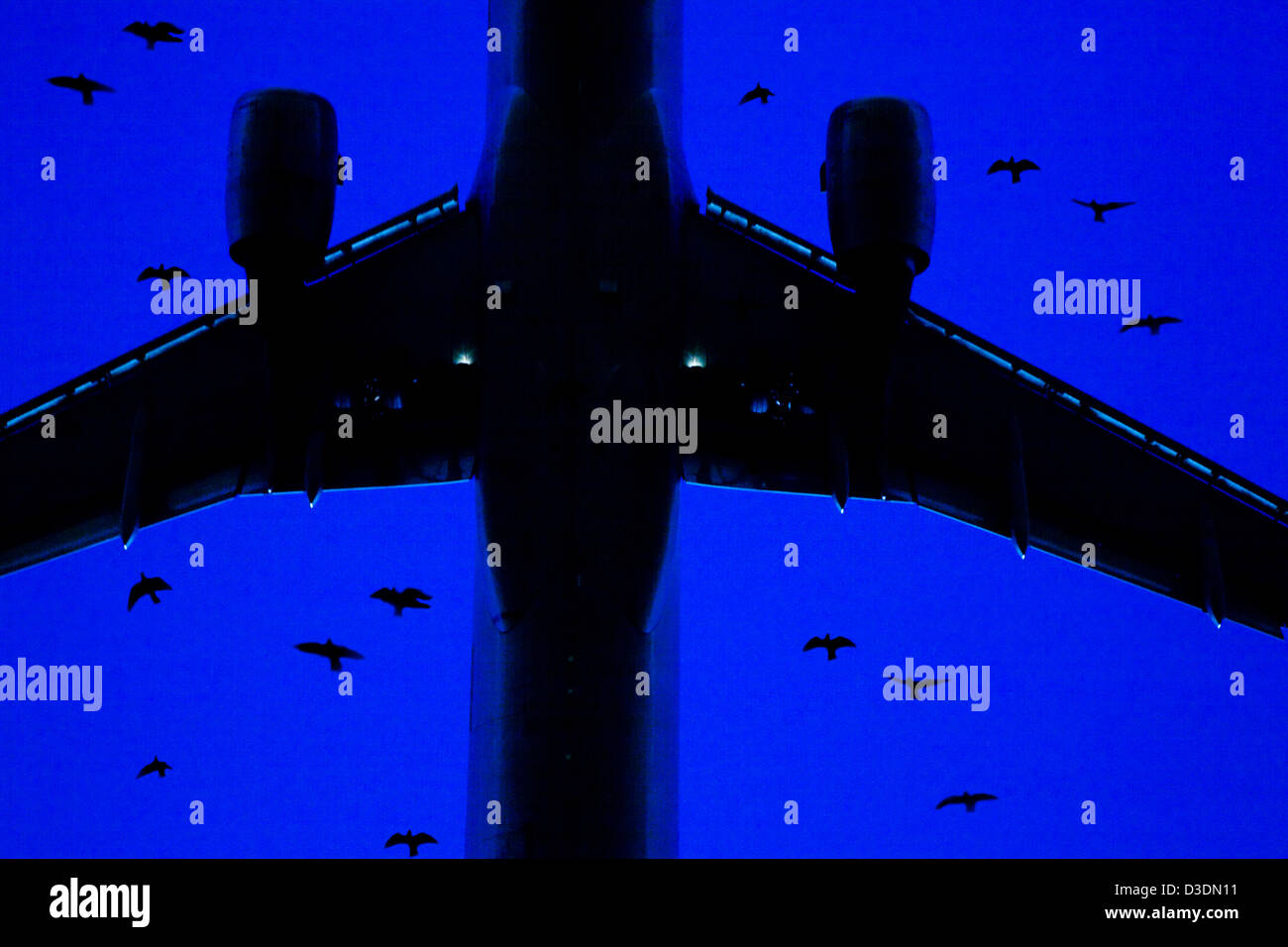 Airplane takeoff birds hi-res stock photography and images - Alamy