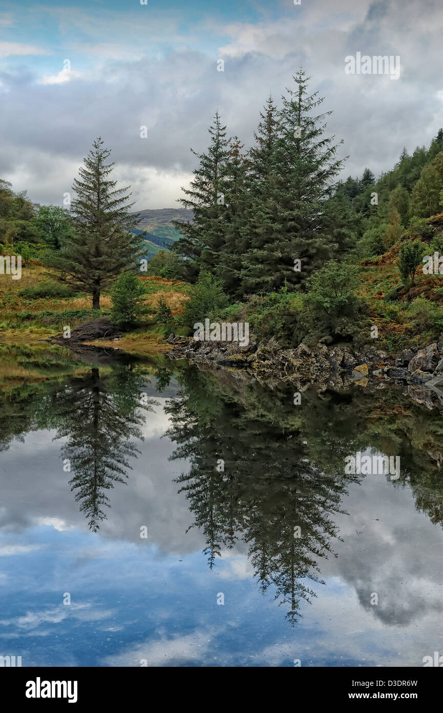 tree reflections, loch duich, scotland Stock Photo - Alamy