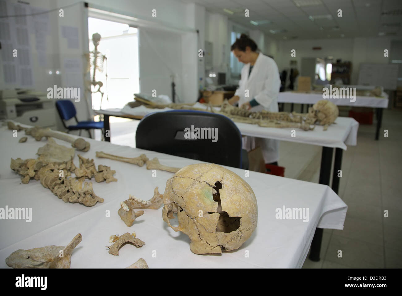 Anthropology lab of the Committee on Missing Persons in Cyprus Stock ...