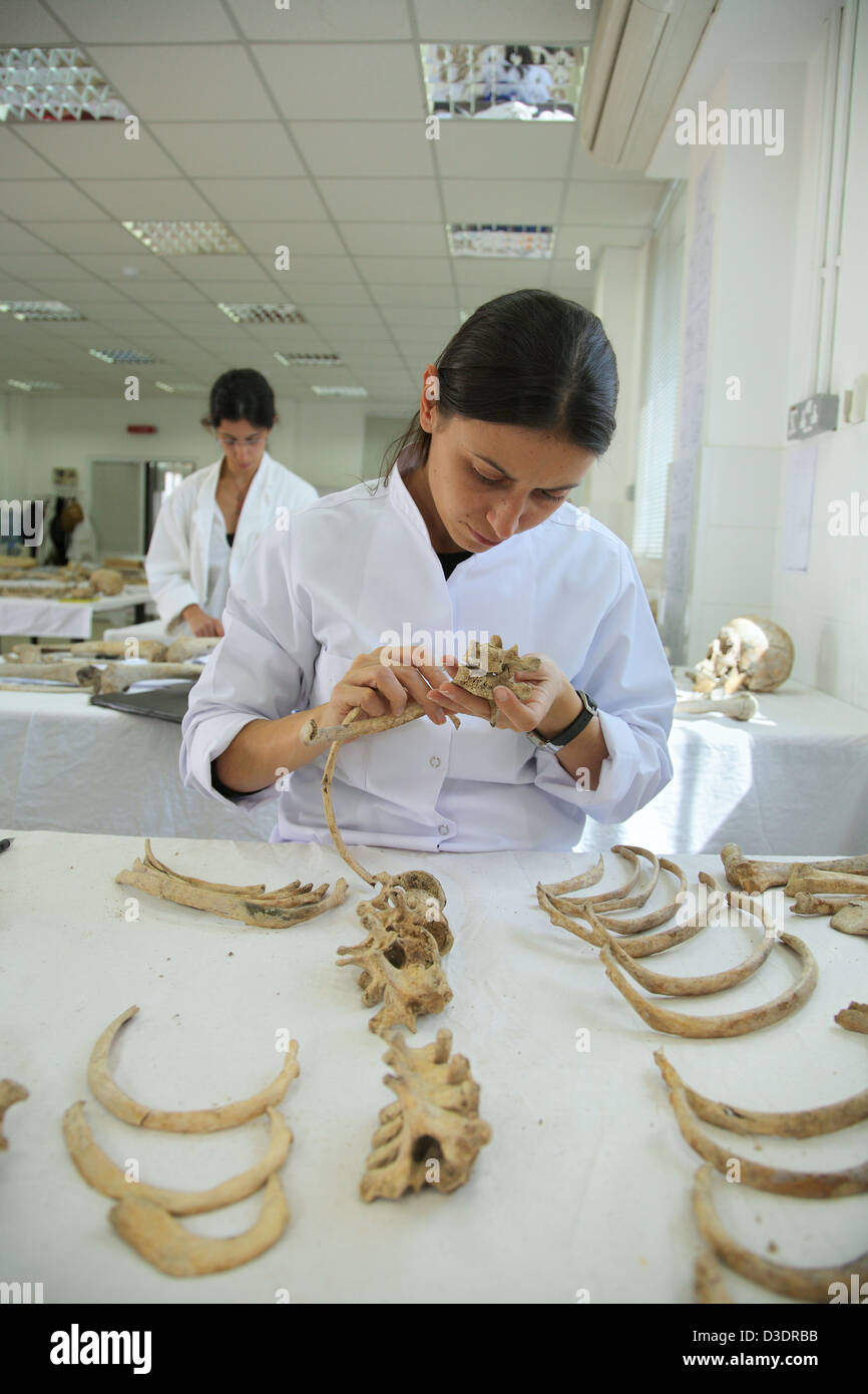 Human remains lab hi-res stock photography and images - Alamy