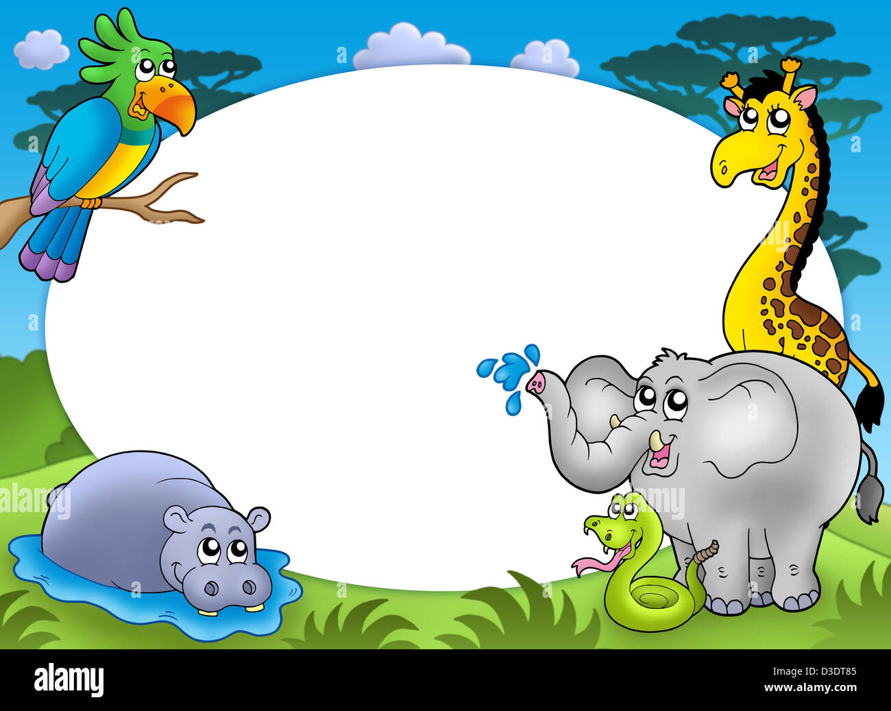 African Animal Border