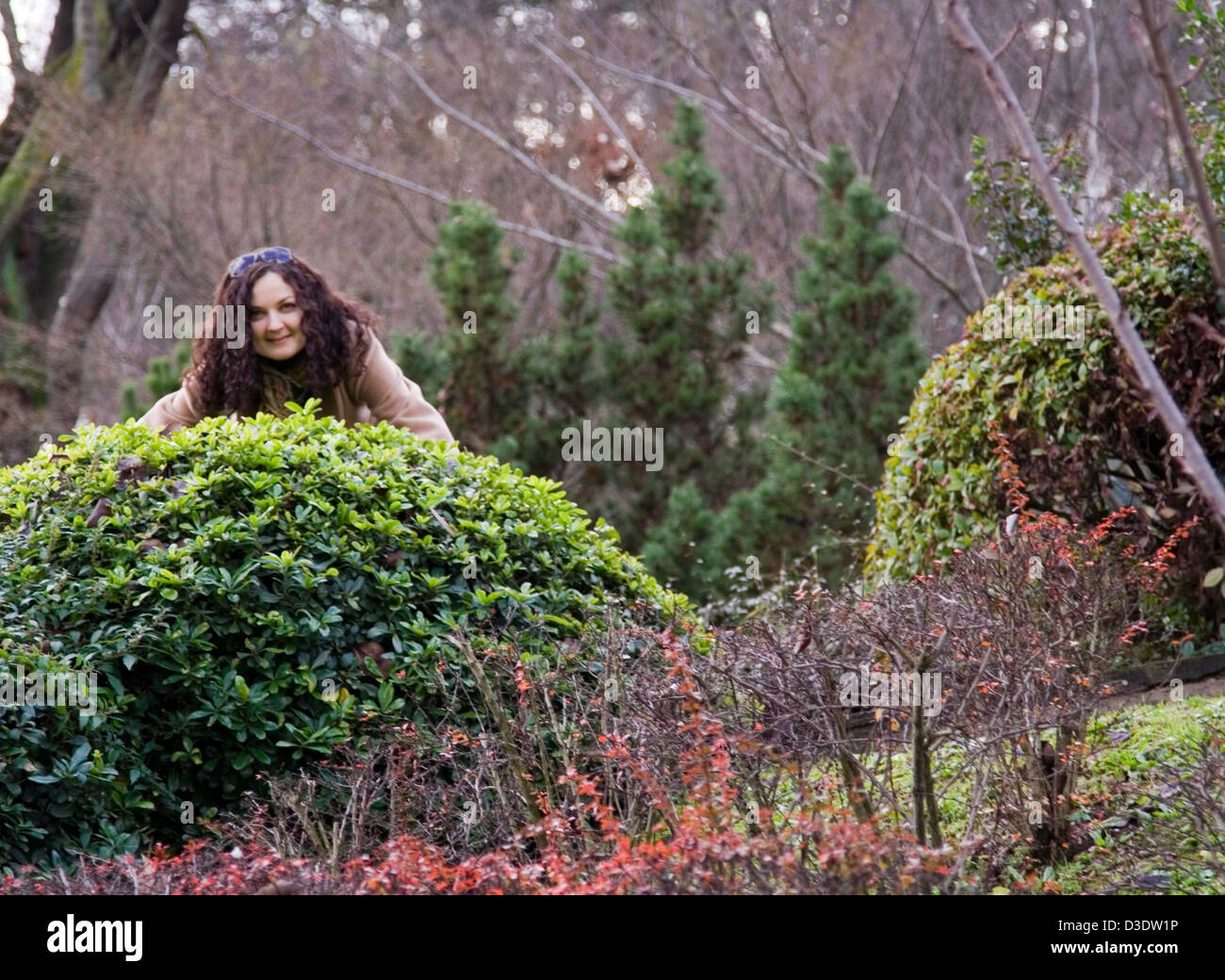 Dark bush hi-res stock photography and images - Alamy