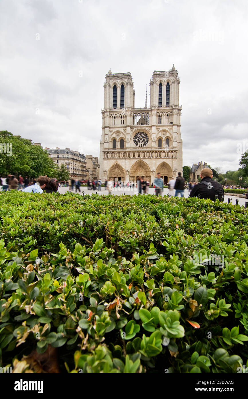 View of the beautiful Notre Dame Cathedral in Paris, France Stock Photo ...