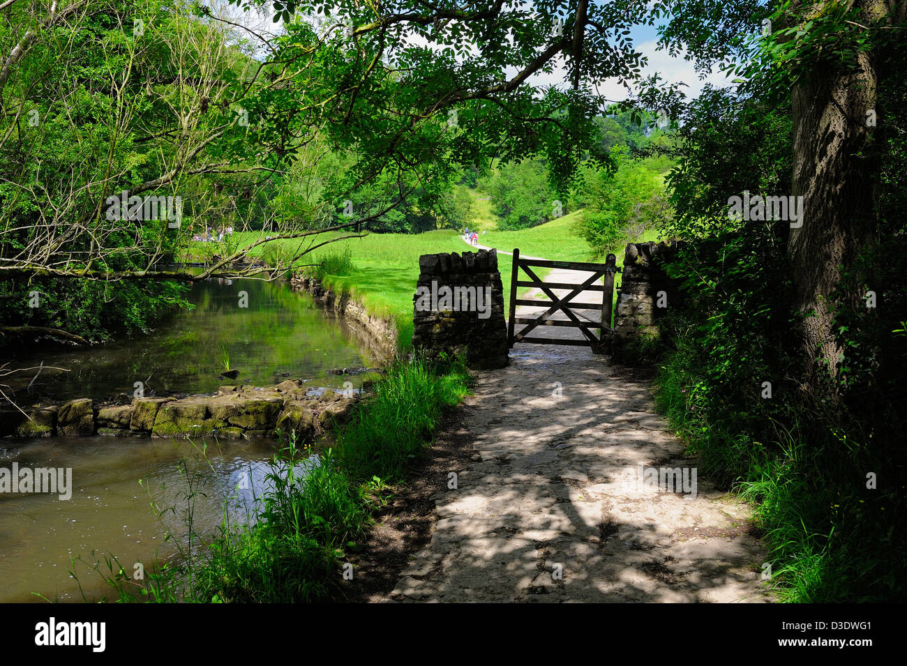country walk alongside the river dove in derbyshire england uk Stock ...