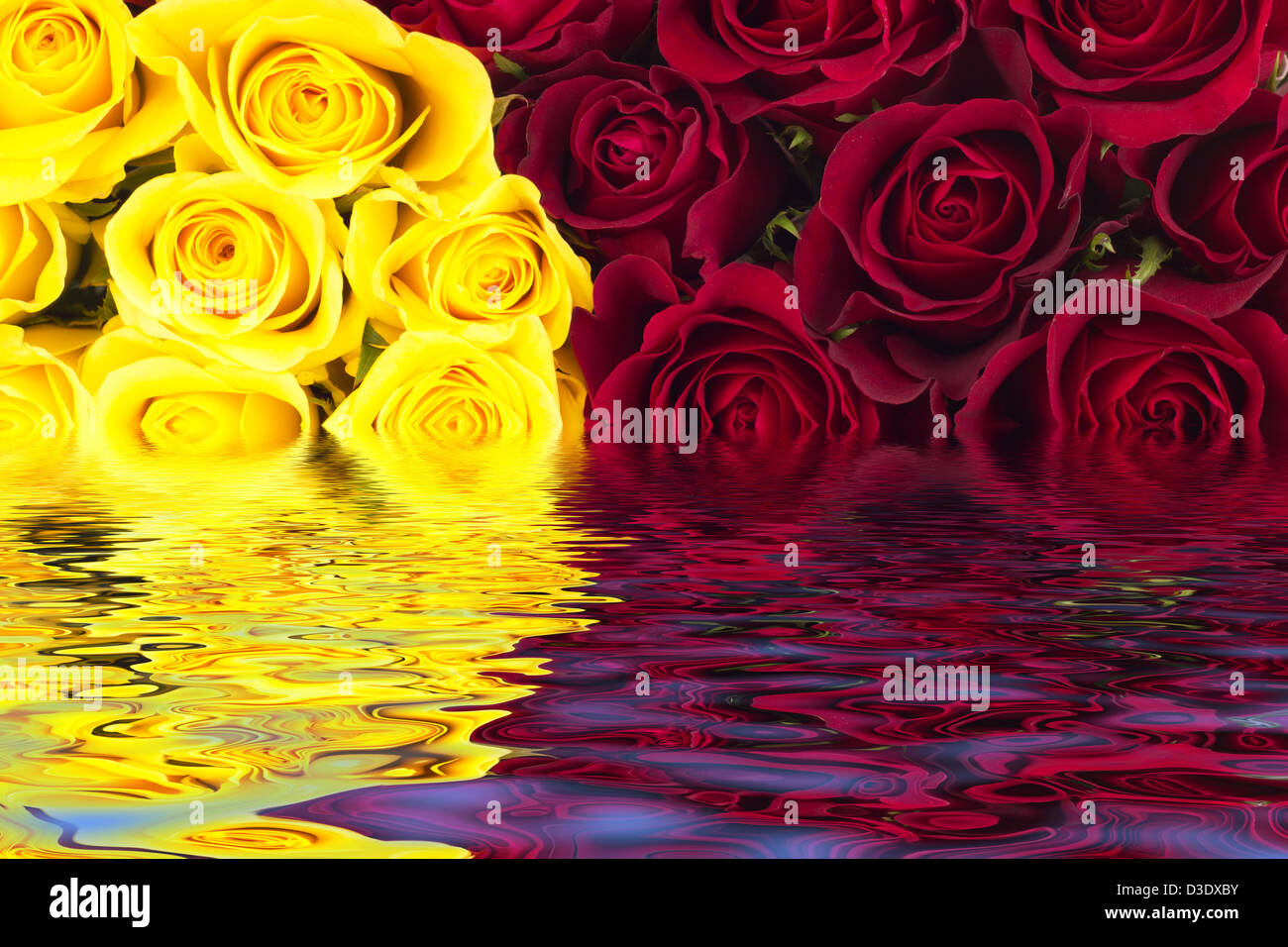 Beautiful bunch of roses Stock Photo - Alamy