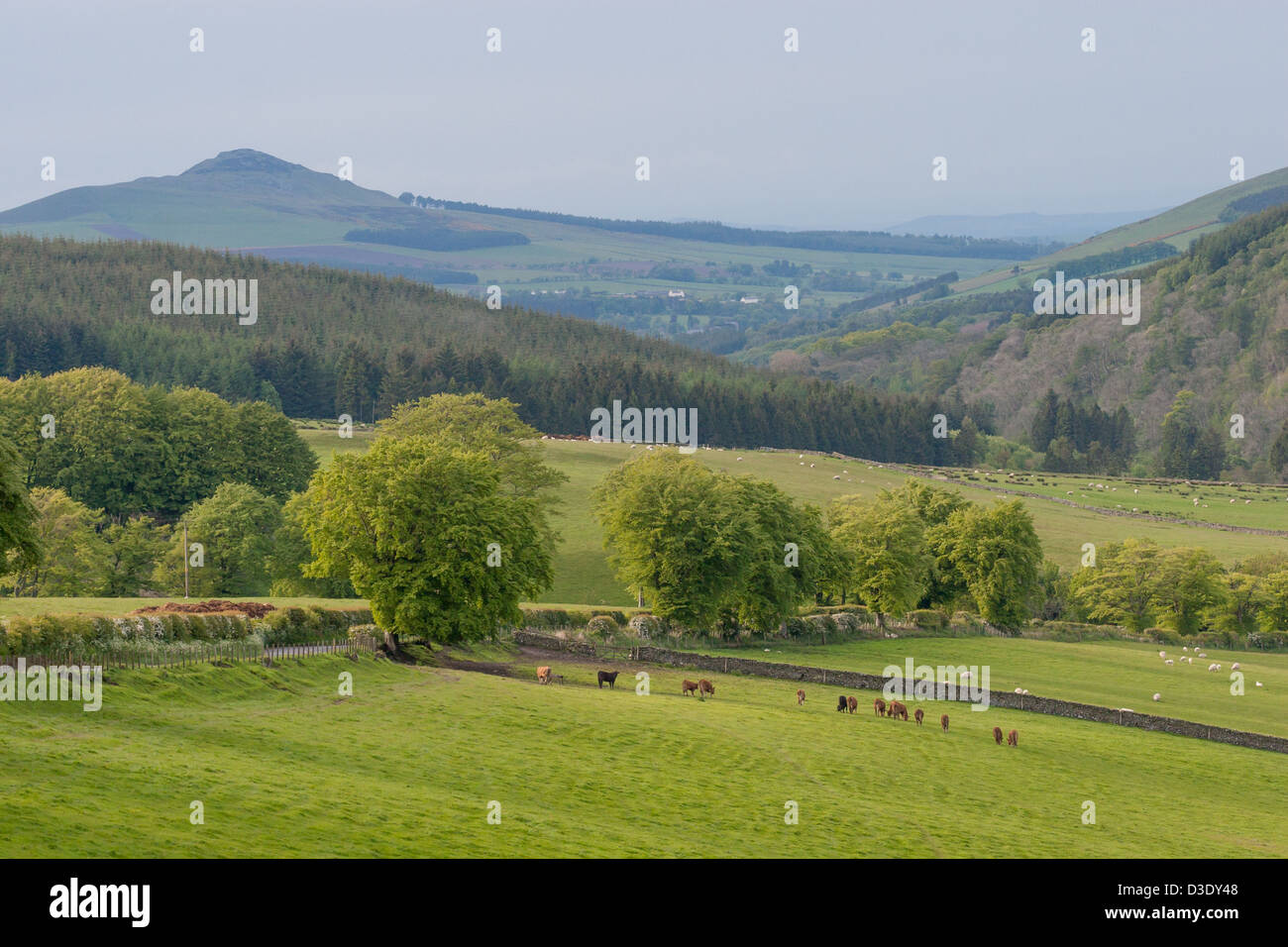 Scottish borders landscape hi-res stock photography and images - Alamy