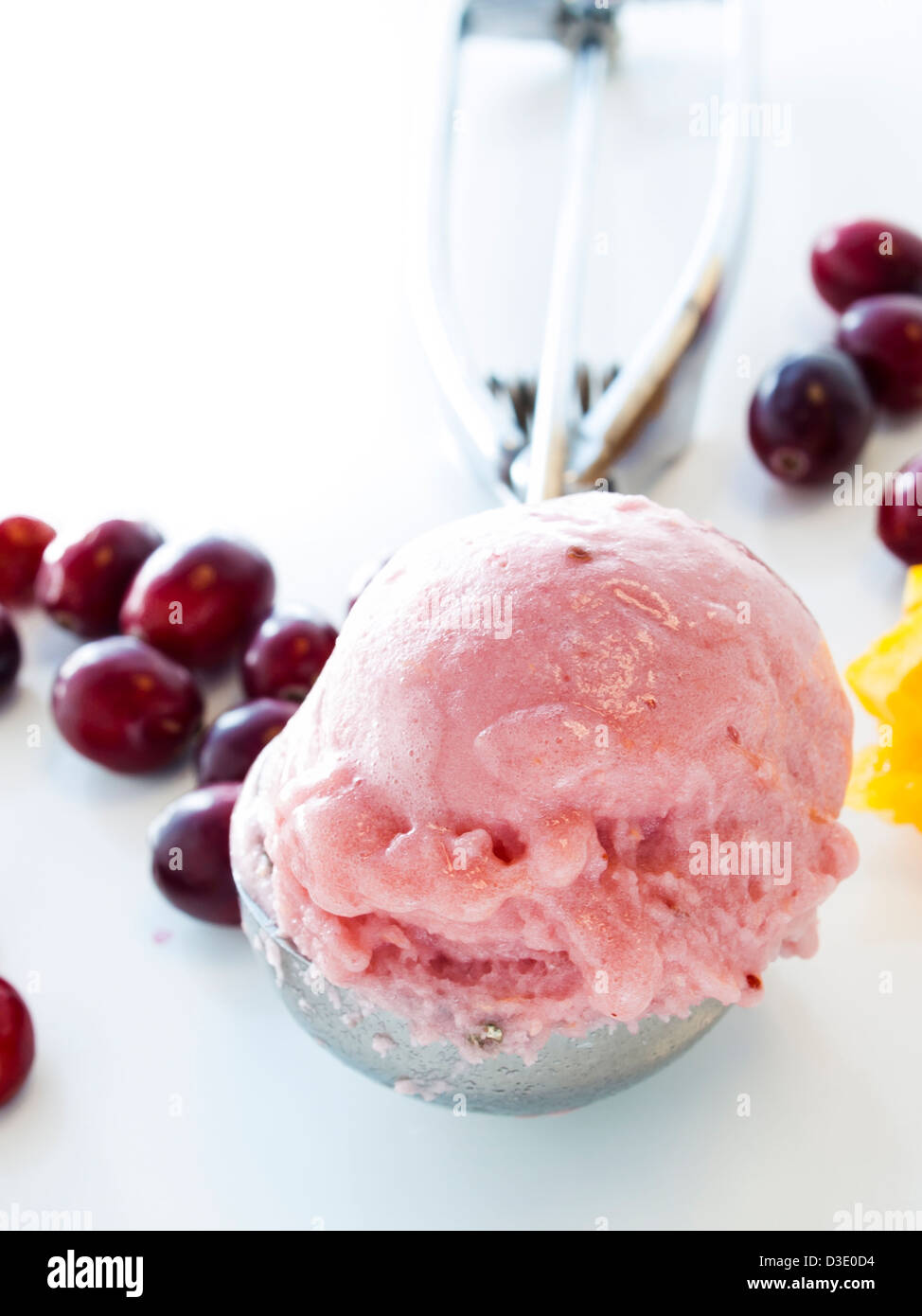 Gourmet sweet orange and cranberry gelato on white background Stock ...