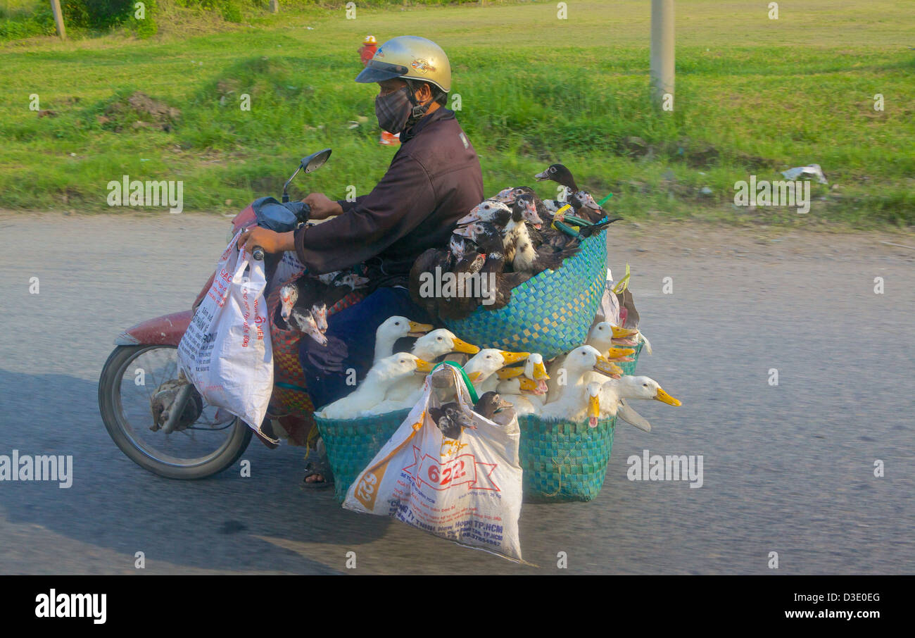 Man driving overloaded motorcycle hi-res stock photography and images ...