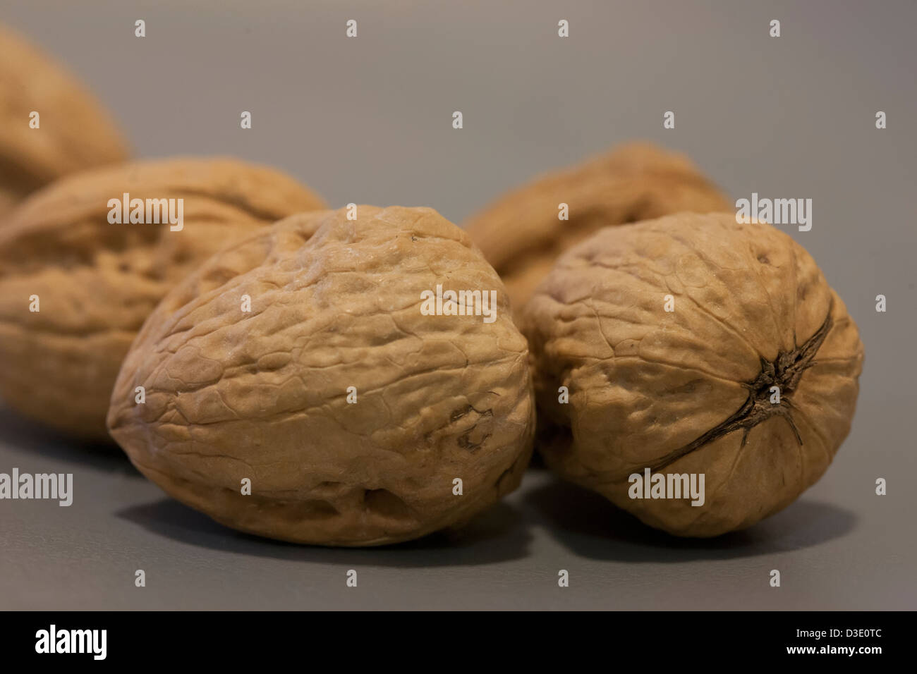 Walnut Brain Stock Photos & Walnut Brain Stock Images - Alamy