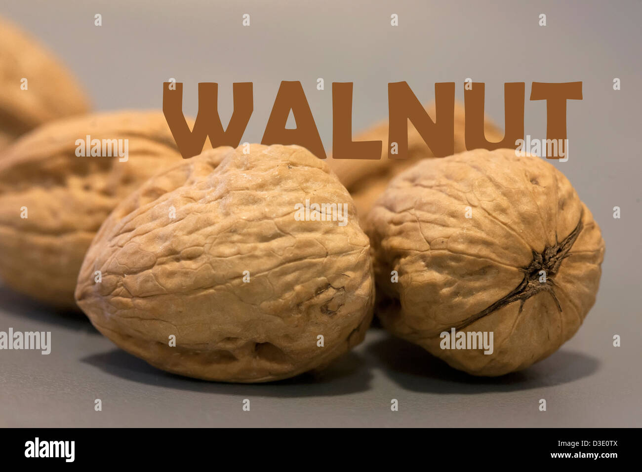 Walnut Brain Stock Photos & Walnut Brain Stock Images - Alamy