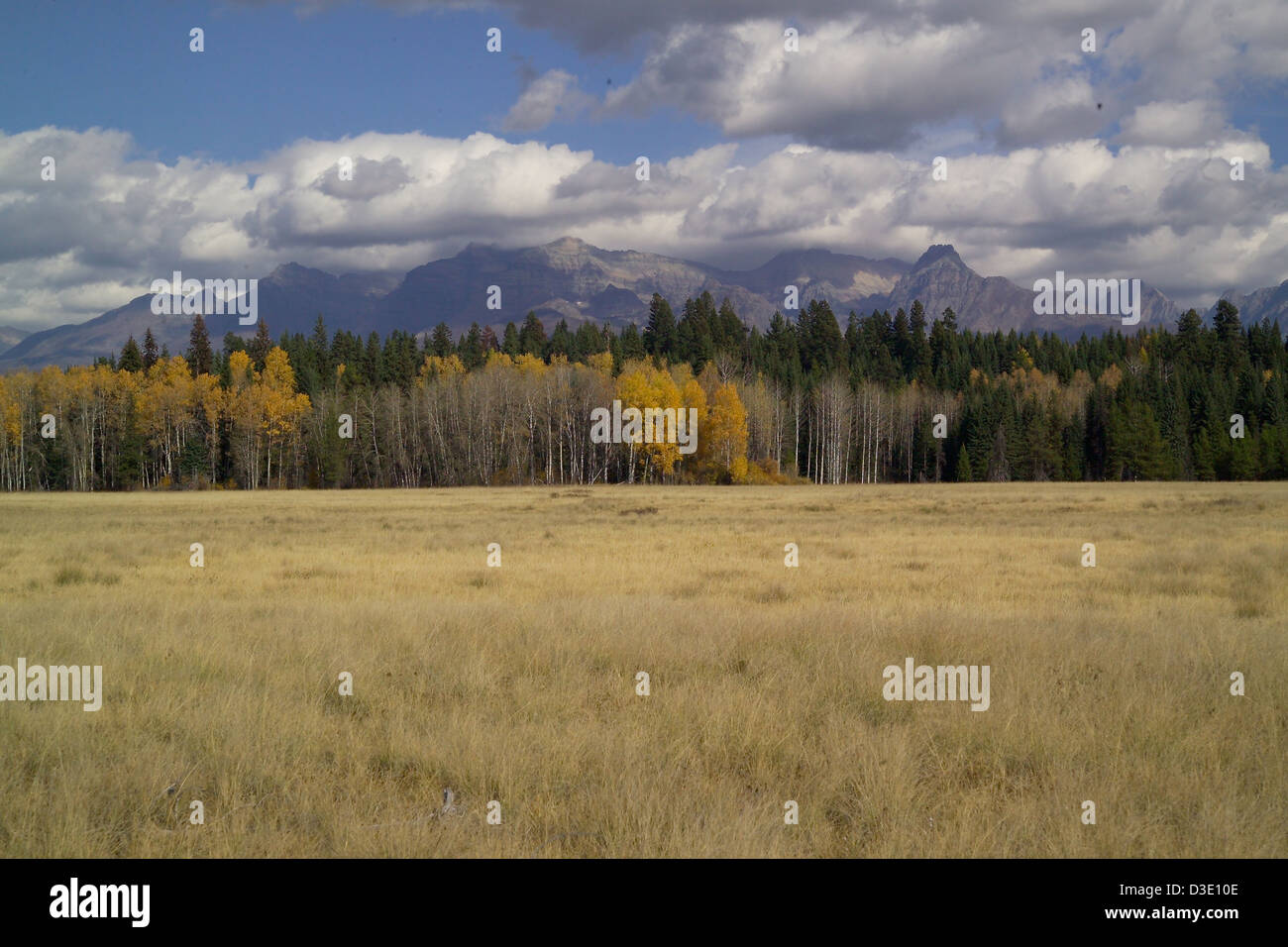 Glacier_nationalpark hi-res stock photography and images - Alamy