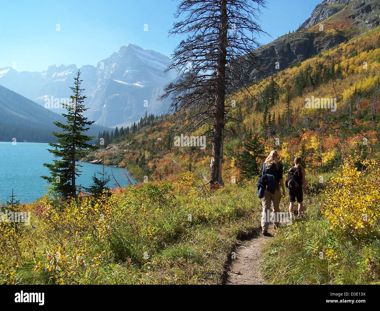 Citizen scientists hike to research survey sites in Glacier National ...