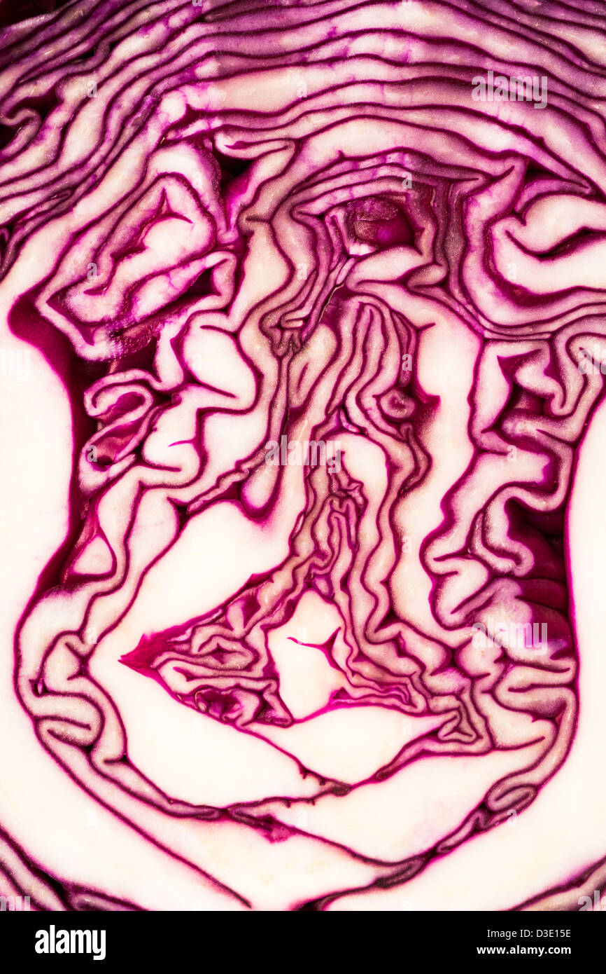 Red white cabbage hi-res stock photography and images - Alamy