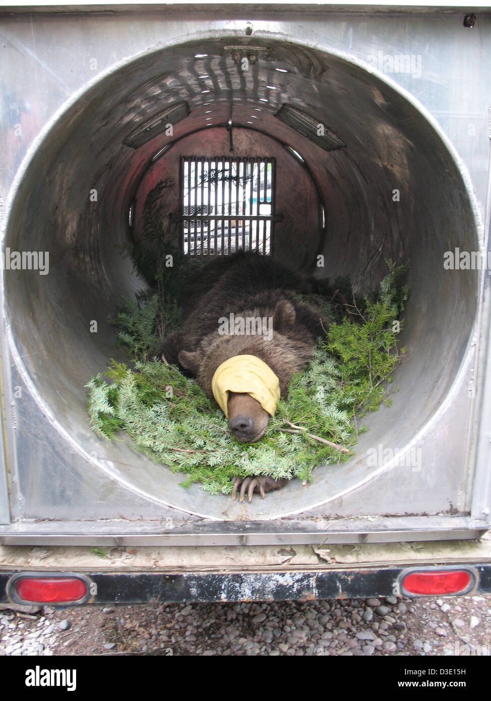 Culvert Trap High Resolution Stock Photography and Images - Alamy