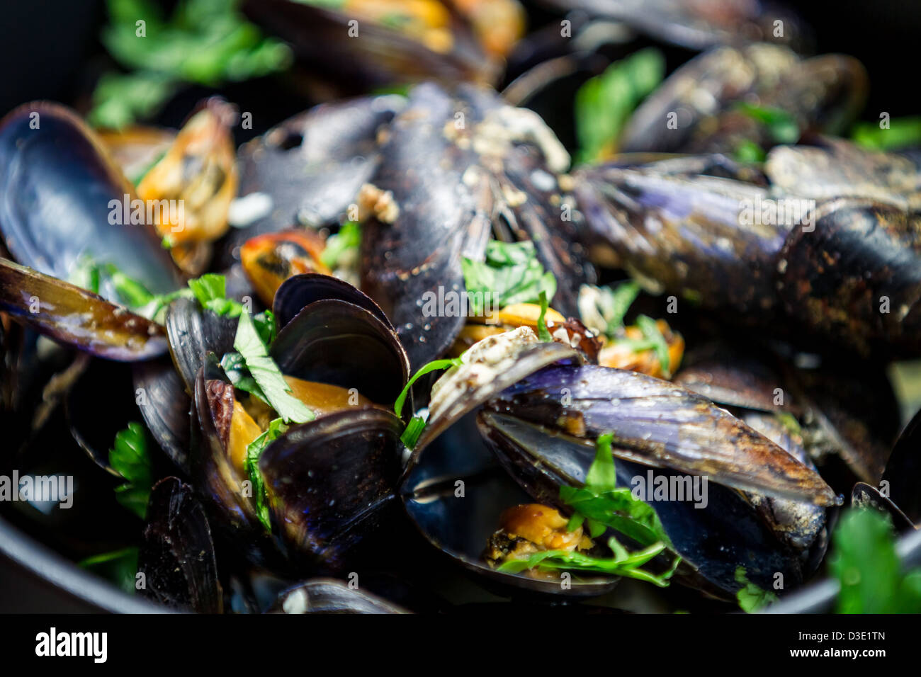 Closeup of cooked mussels with garlic and parsley Stock Photo - Alamy