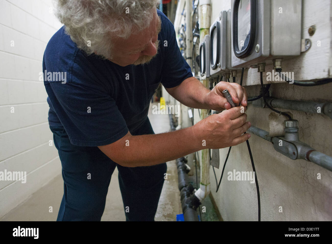 Engineer connecting O2 electrochemical sensor probe cable to meter in ...
