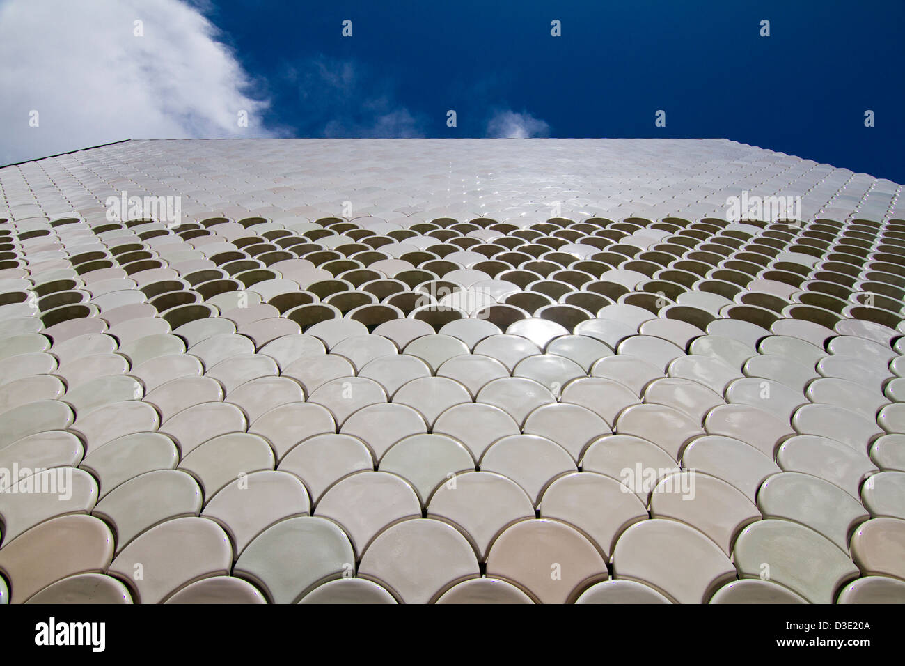 Structure of a fish scale hi-res stock photography and images - Alamy