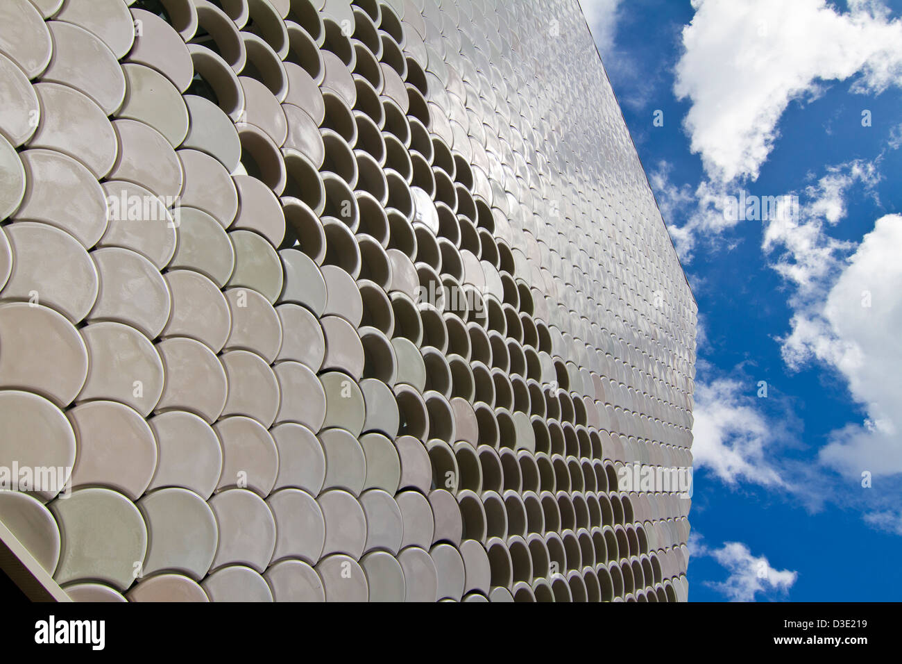 Structure of a fish scale hi-res stock photography and images - Alamy