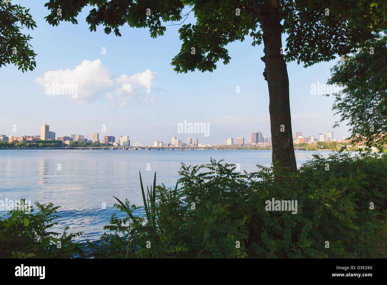 Charles River Basin High Resolution Stock Photography and Images - Alamy