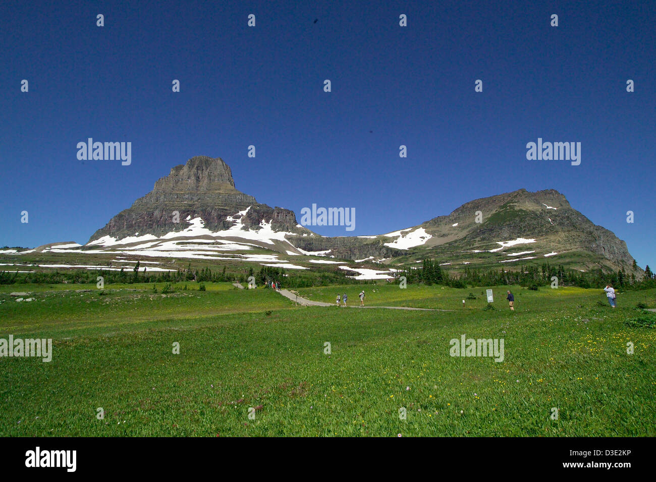 Logan Pass in Glacier National Park is a popular trailhead for hiking ...