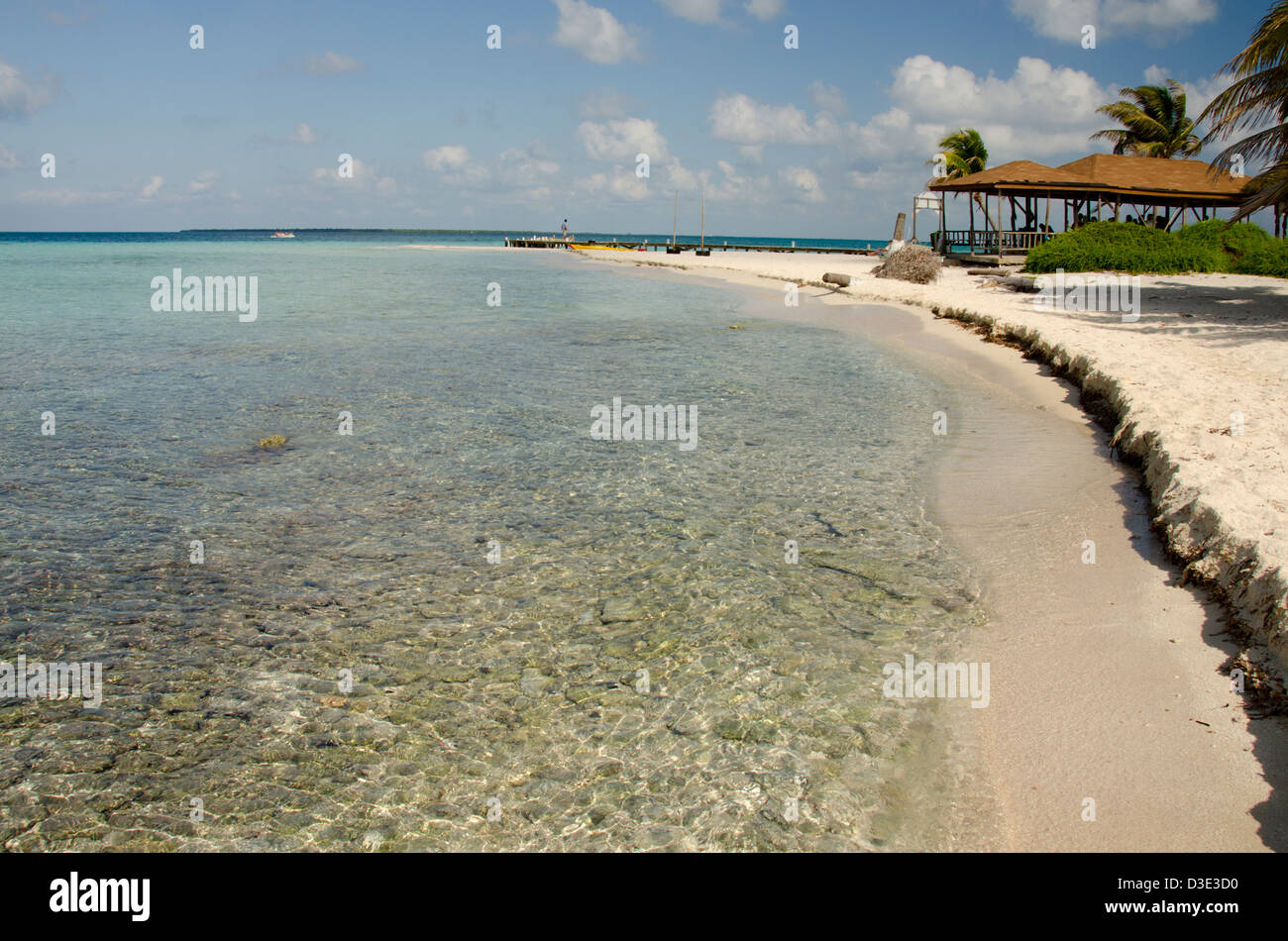 Belize, Caribbean Sea, Goff Caye. A small island off the shore of ...