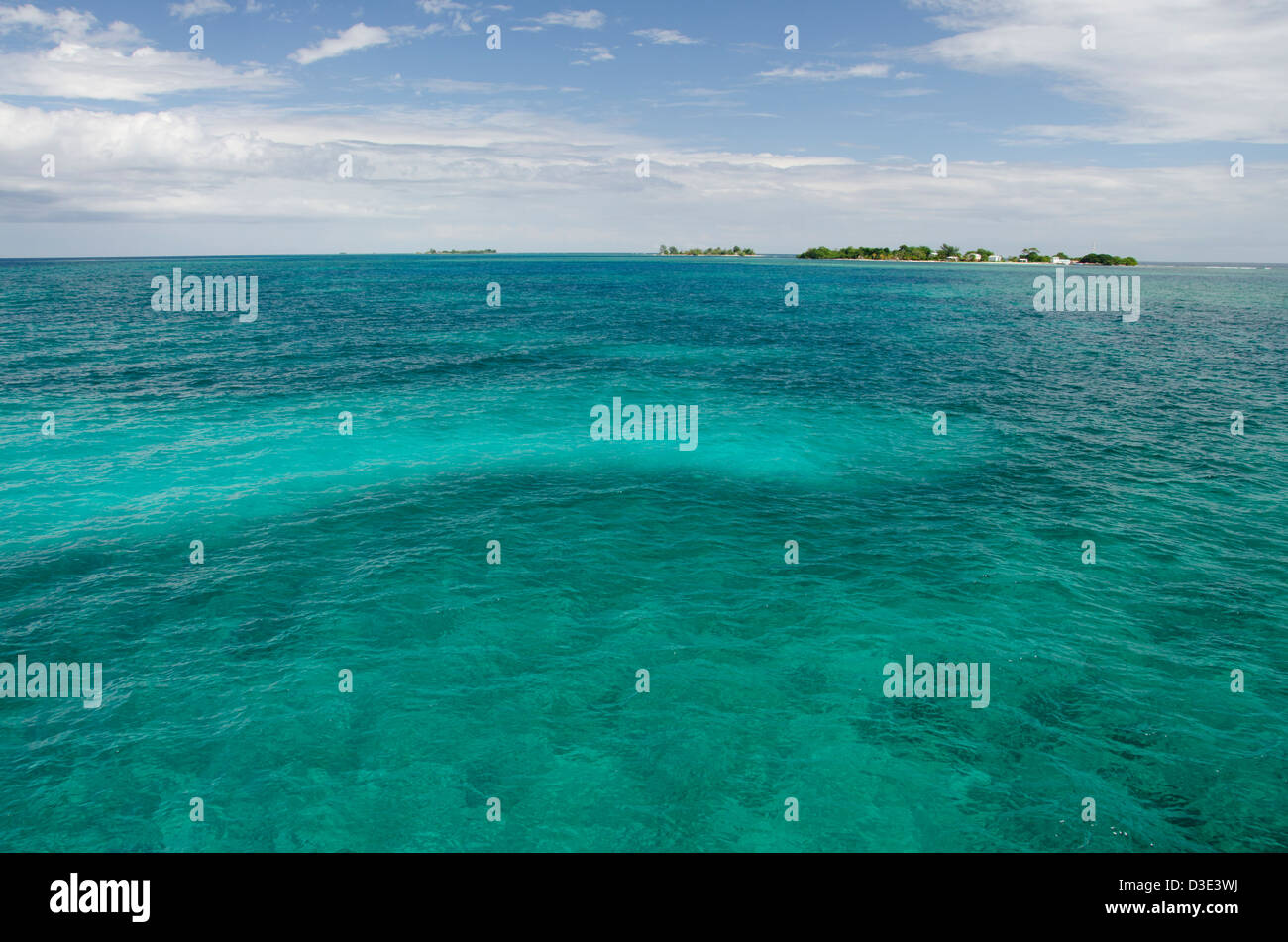 Belize, District of Stann Creek, Sapodilla Cayes Marine Reserve. Reef ...