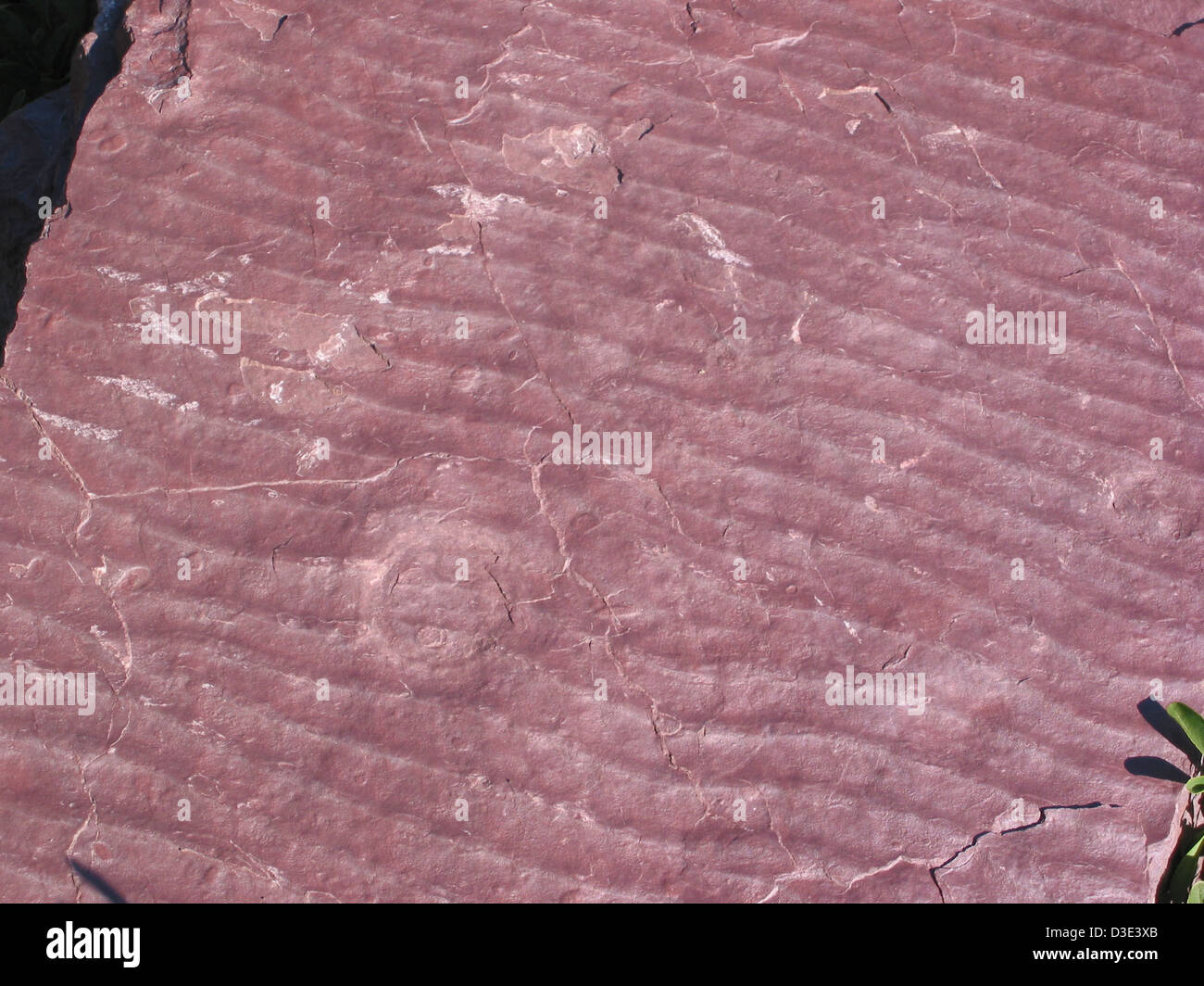 Ripple marks geology hi-res stock photography and images - Alamy