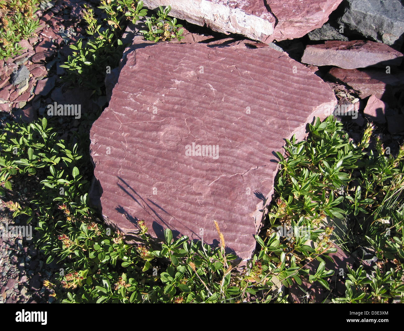 Ripple marks geology hi-res stock photography and images - Alamy